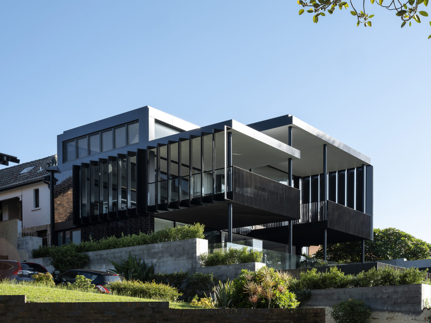 Carter Williamson Architects