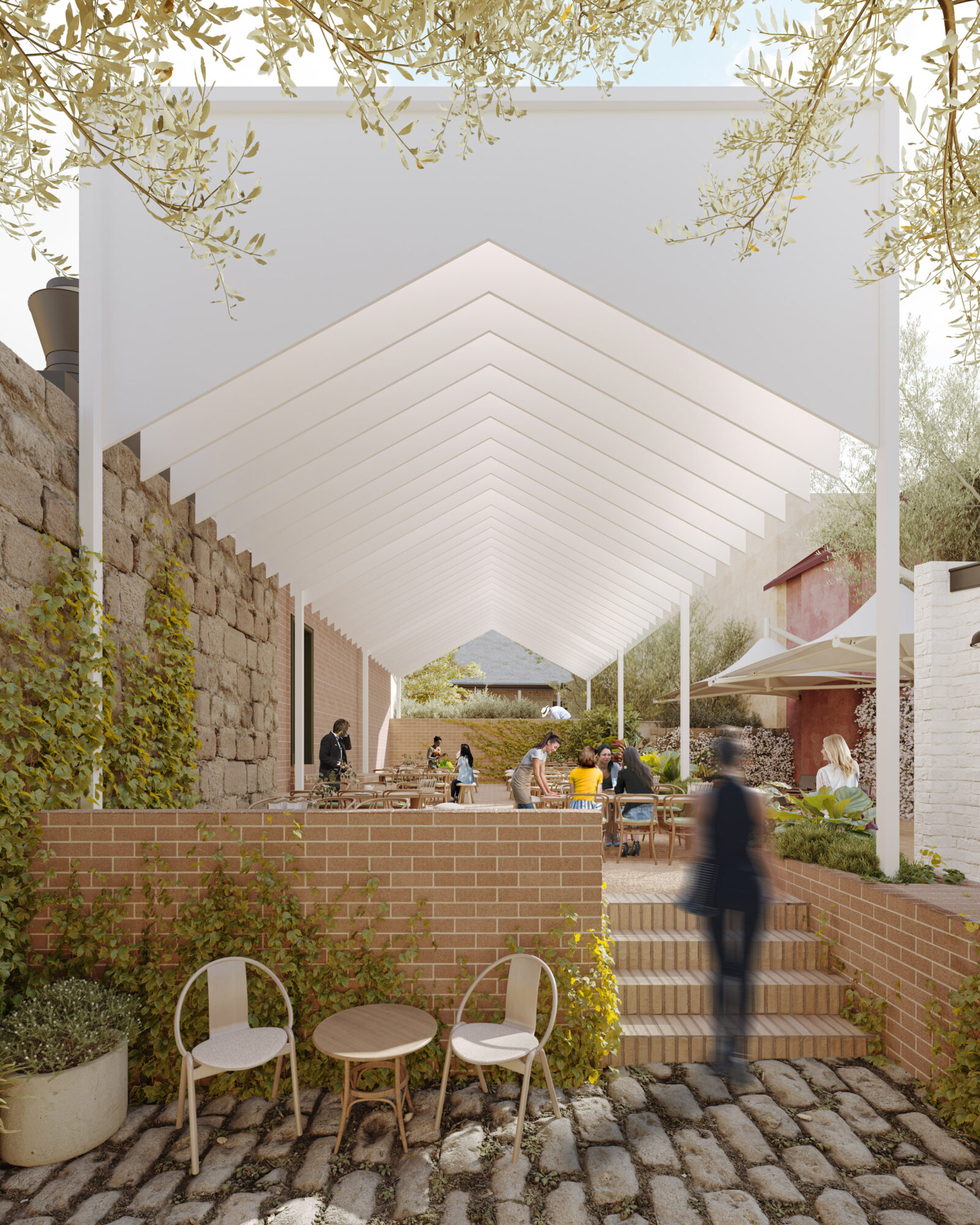 Carter Williamson Architects | Carter Williamson