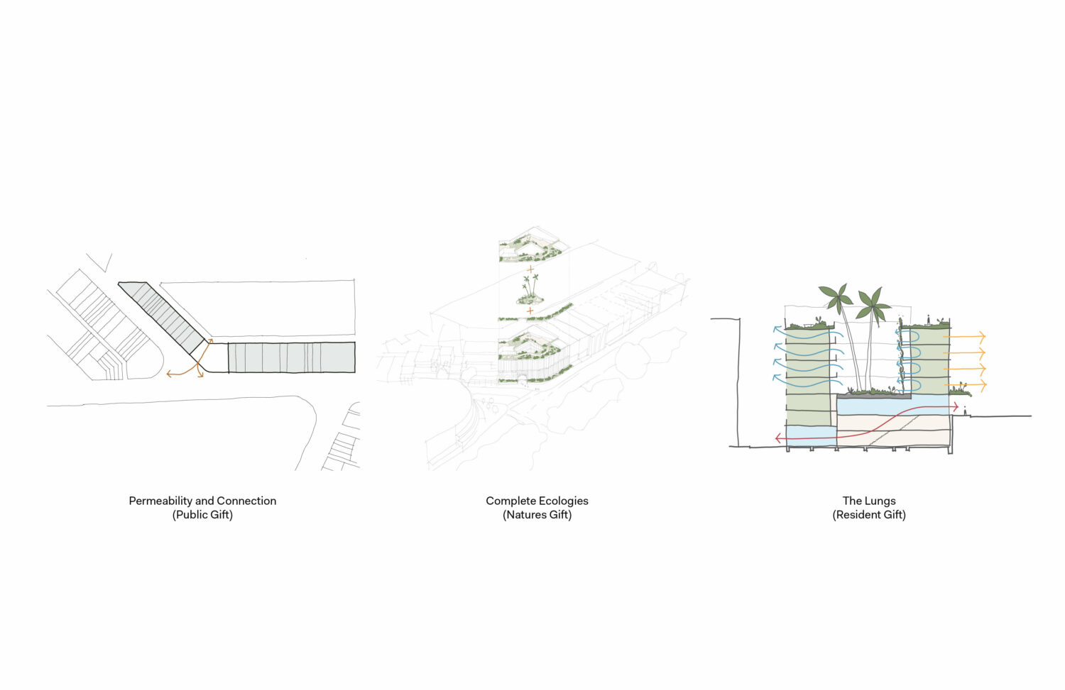 Glebe Student Housing Design Excellence Proposal, Sydney | Carter ...