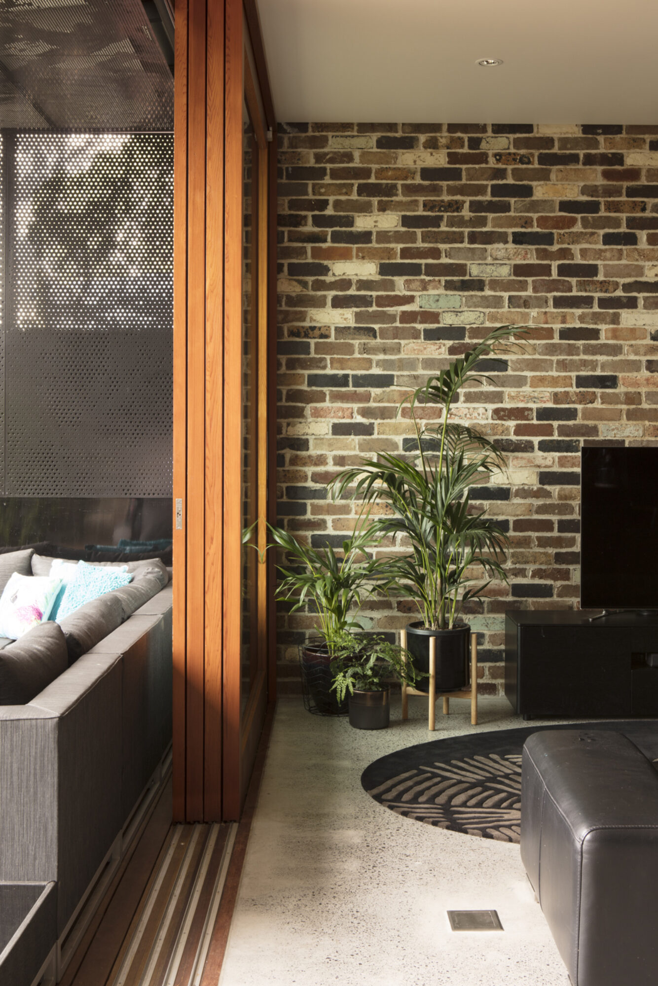 Screen House | Carter Williamson