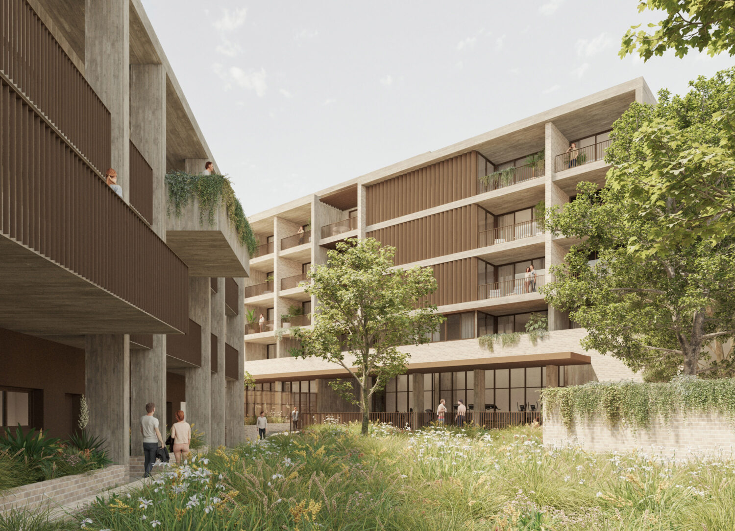 Carter Williamson Architects