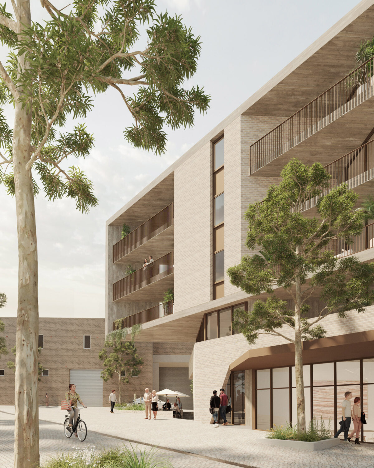 Carter Williamson Architects | Carter Williamson