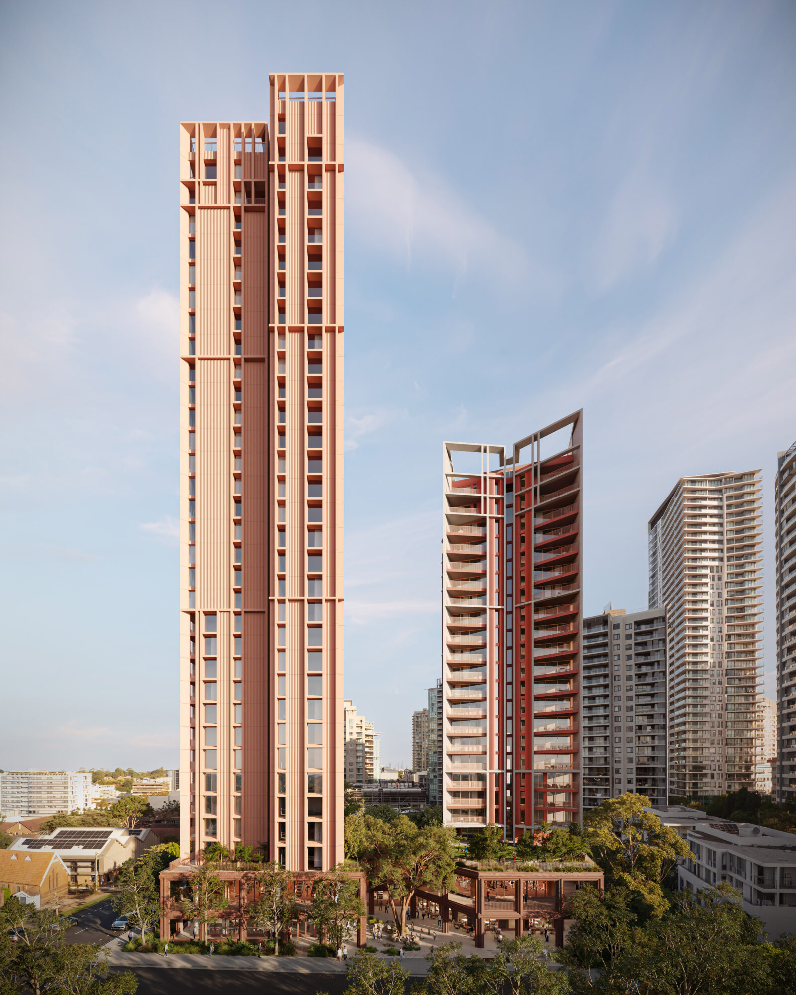 The Angophora | Carter Williamson