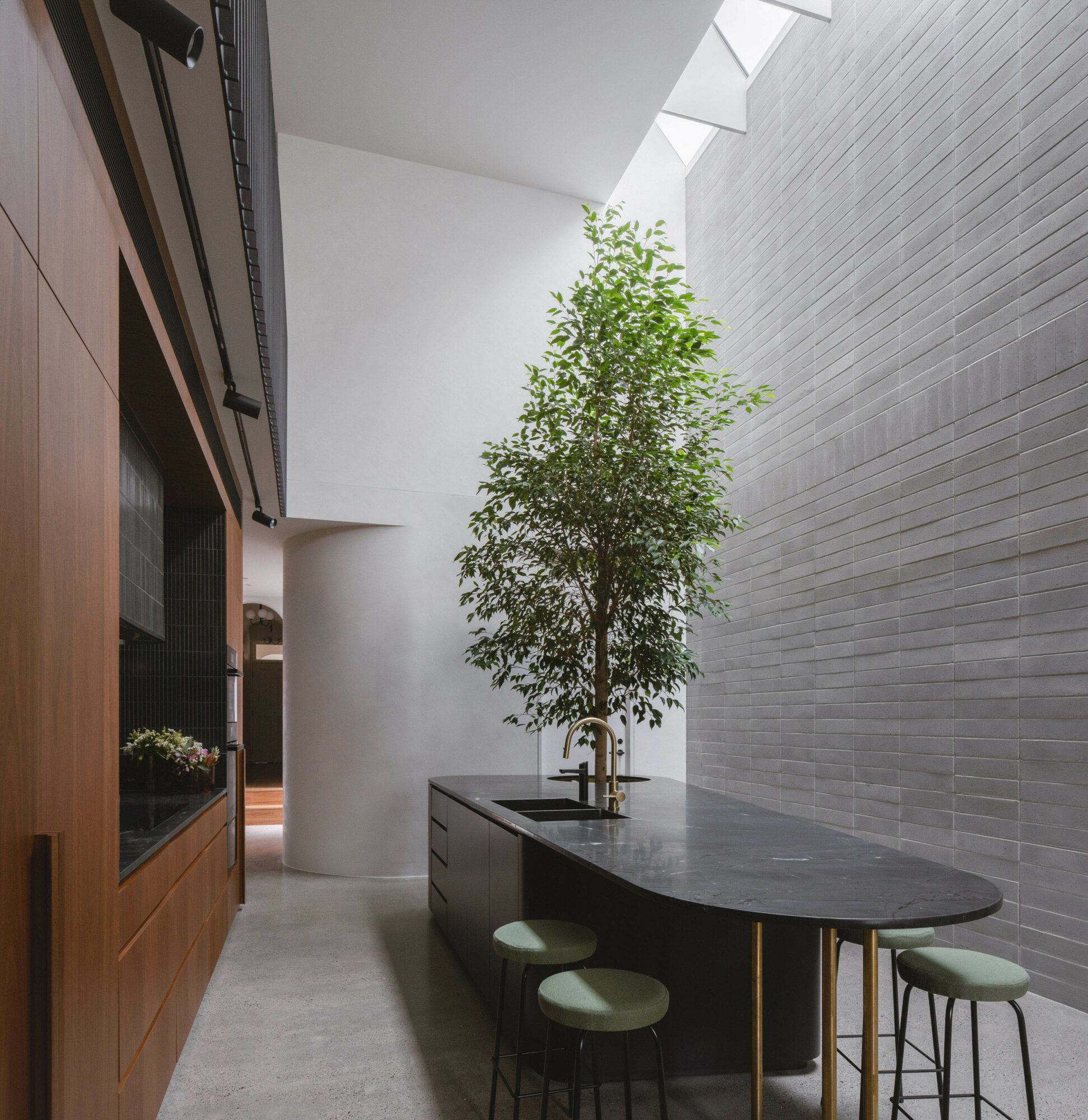 Tree Island | Carter Williamson Architects