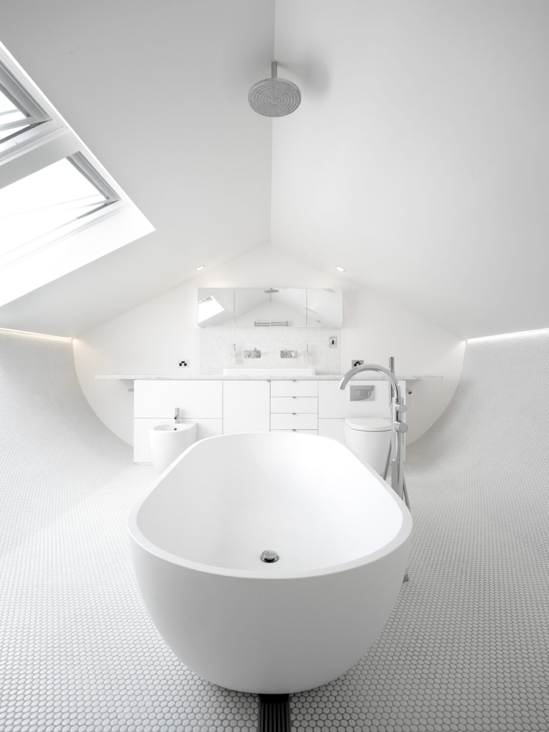 Carter Williamson Architects | Carter Williamson