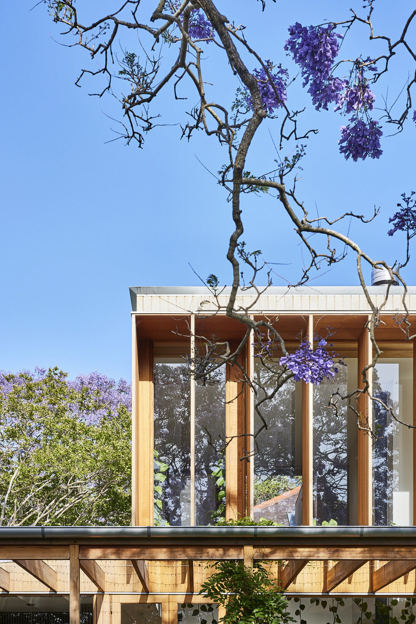 Wisteria | Carter Williamson Architects