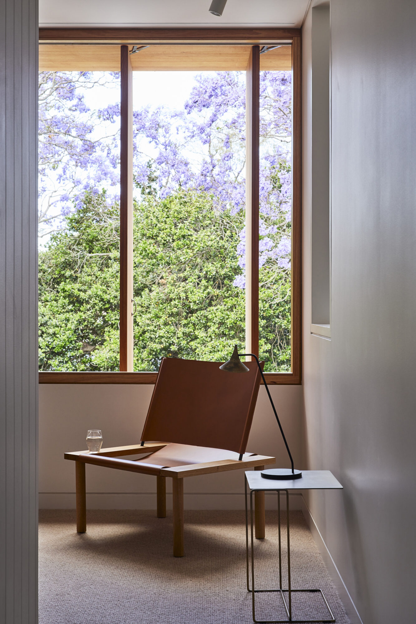 Wisteria | Carter Williamson