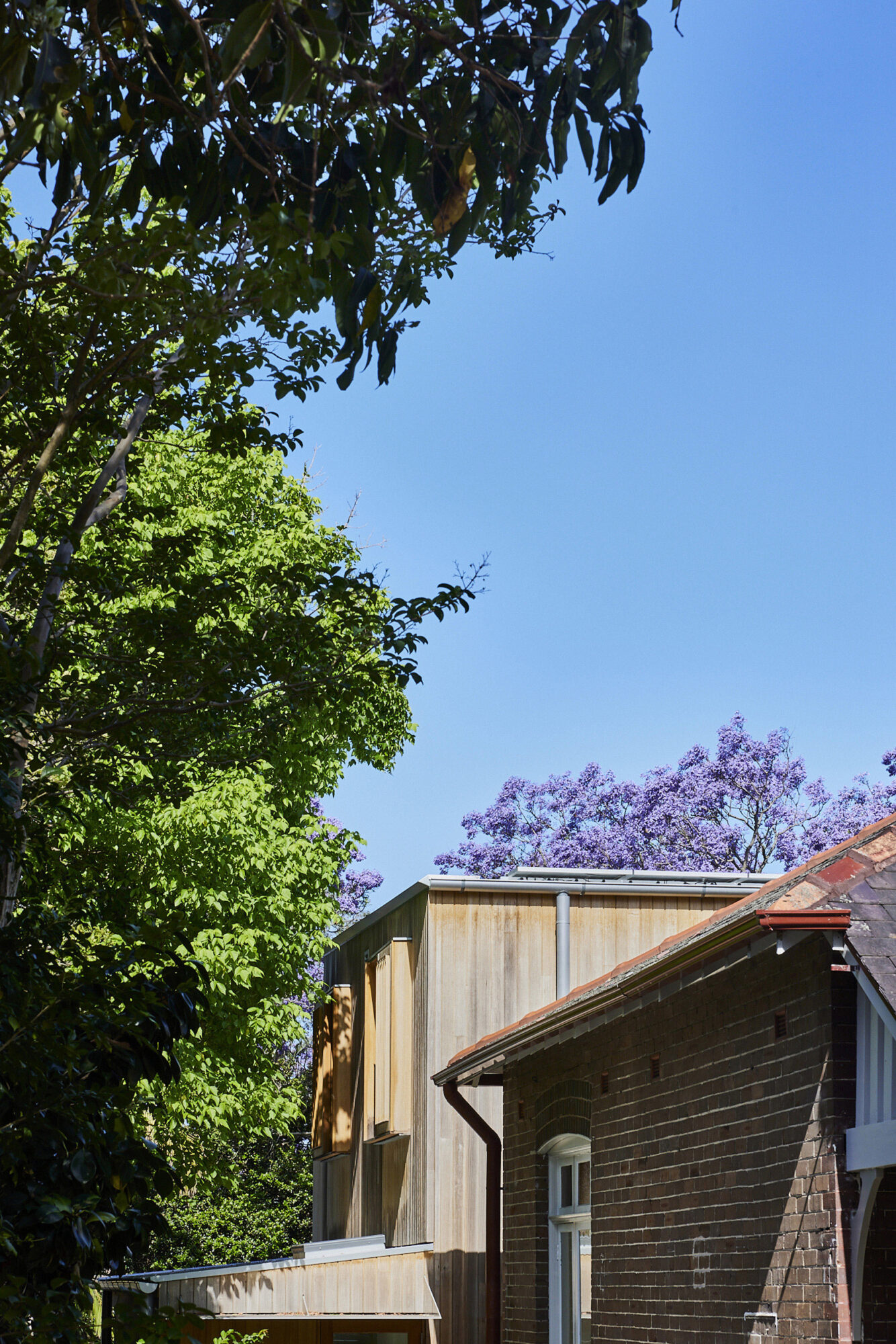 Wisteria | Carter Williamson Architects